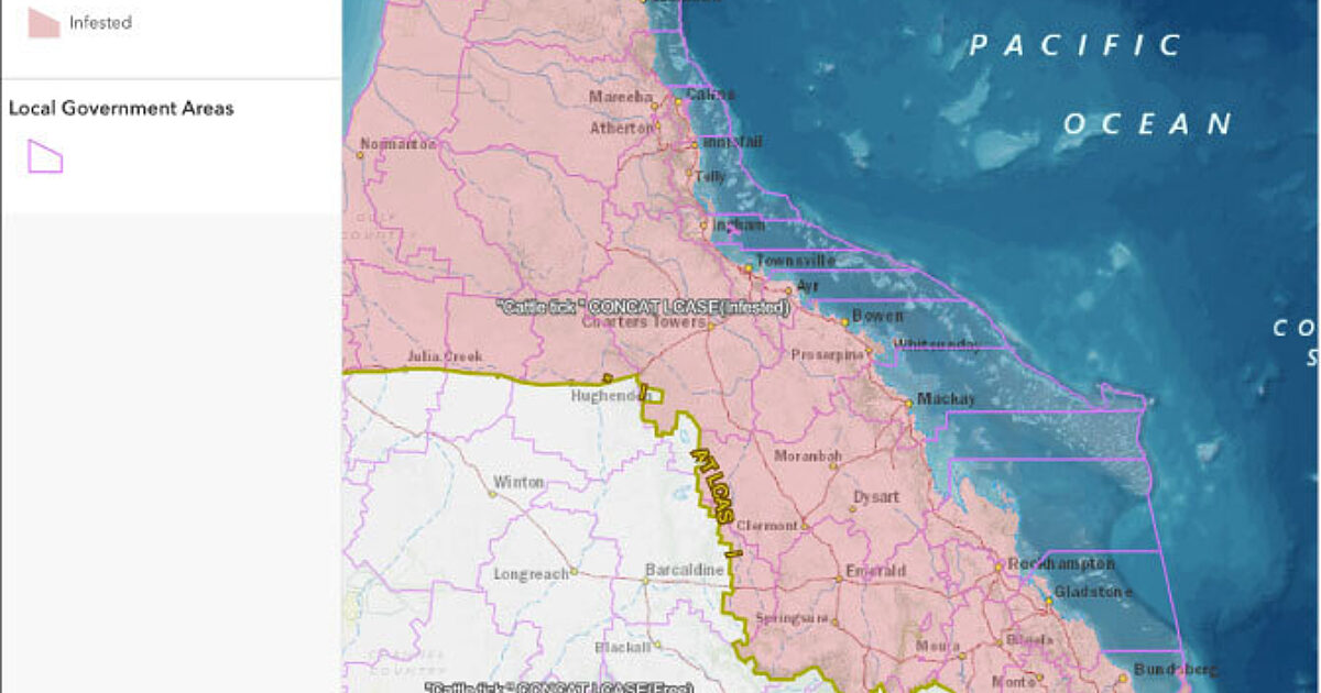 The Practicalities of Relocating Cattle… | Cedar Valley Springs