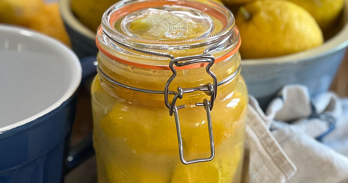 Making the most of a seasonal Bush Lemon glut | Cedar Valley Springs